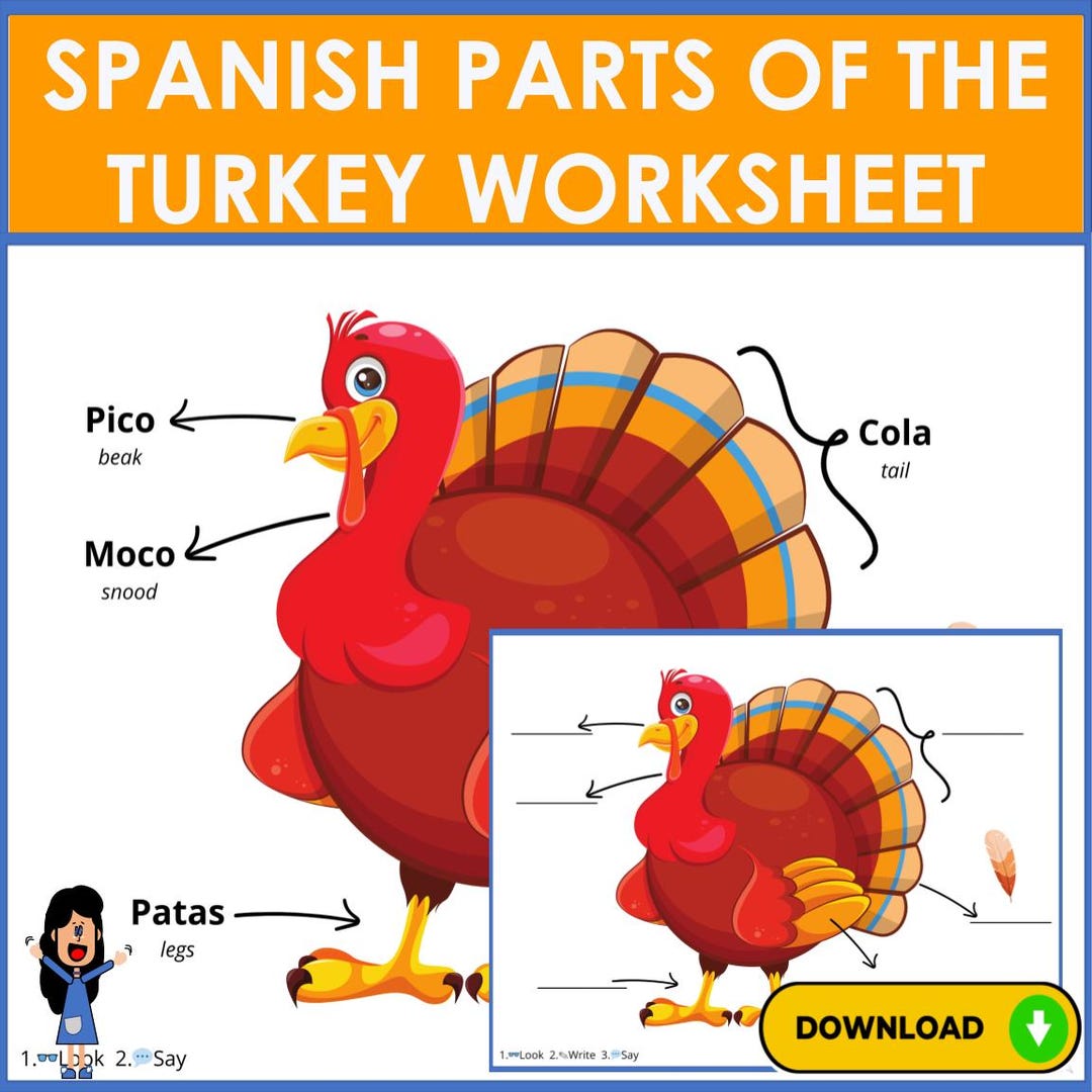 Spanish Parts of the Turkey Worksheet - Etsy