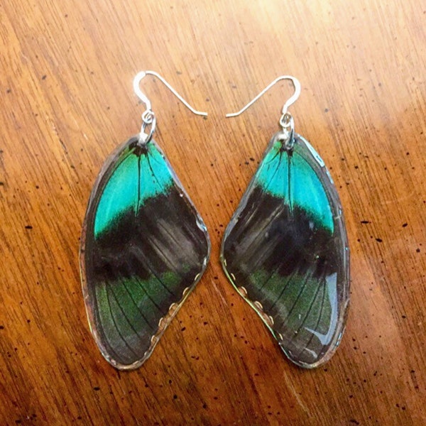 Butterfly Earrings - Etsy