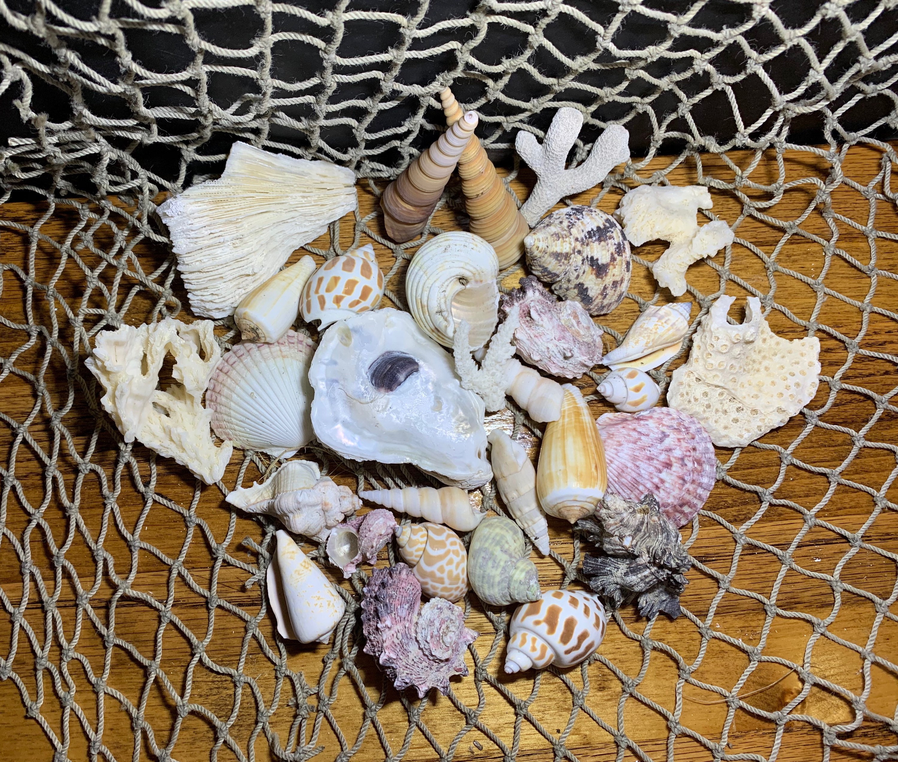Bag of Sea Treasures - Etsy