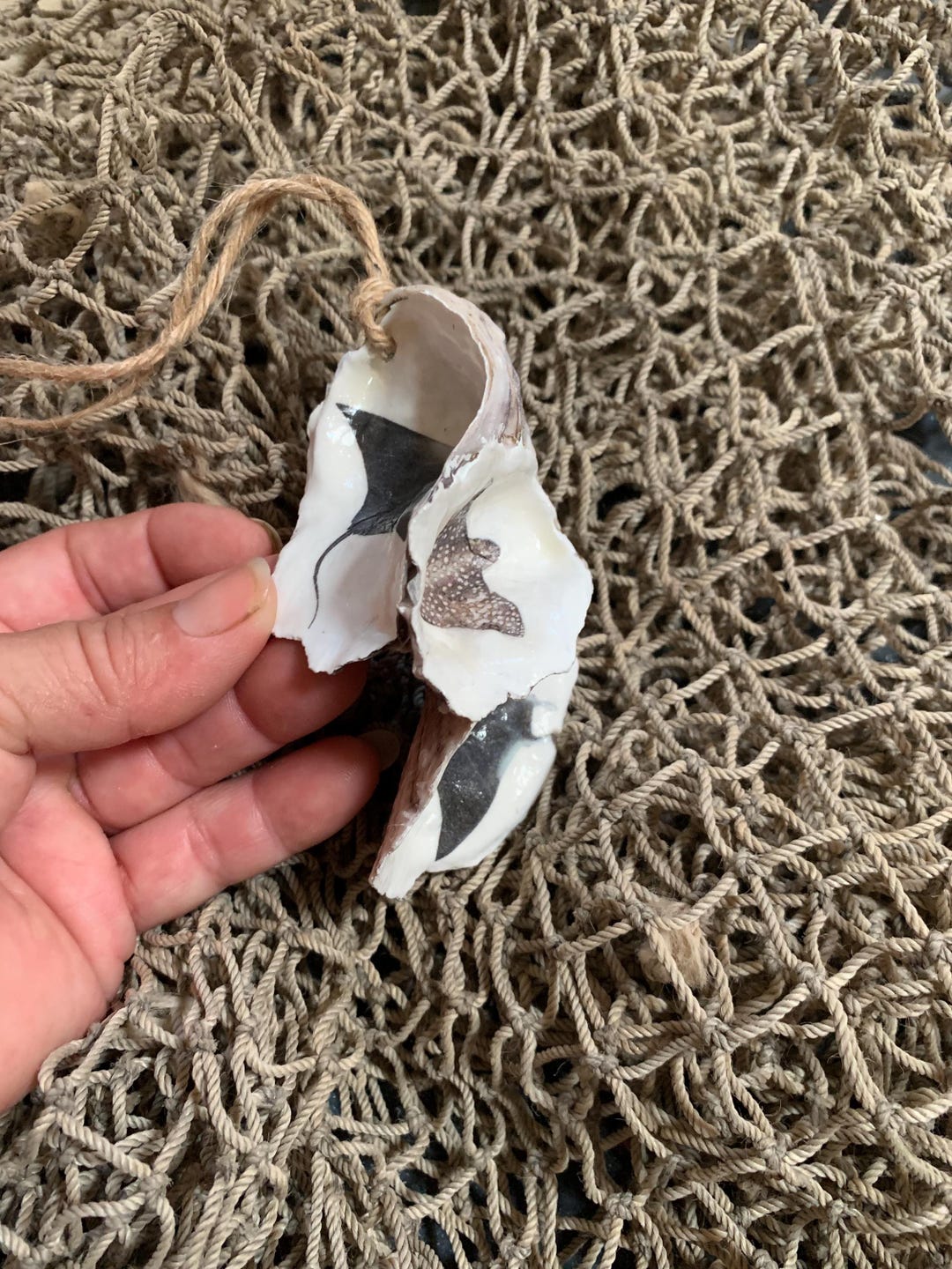 Stingrays Oyster Shell Cluster Ornament/home Decor - Etsy