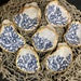 BOGO Blue Coral Gilded Oyster Shell - Etsy