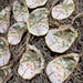 Christmas Palm Tree Oyster Shell Ornament - Etsy