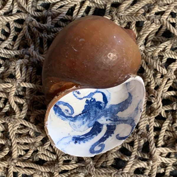 Apple Snail Shell - Etsy