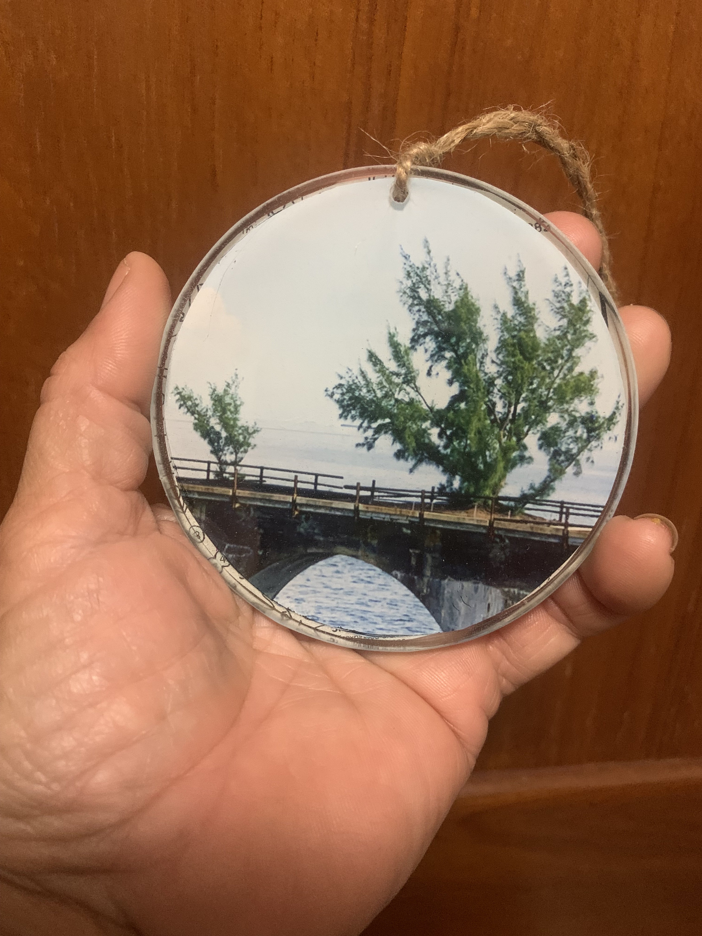 Fred the Tree Ornament (please Specify Design, Decorated or Not ...