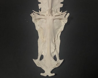 Crucifix Fish | Etsy