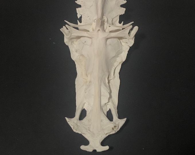 Crucifix Fish - Etsy