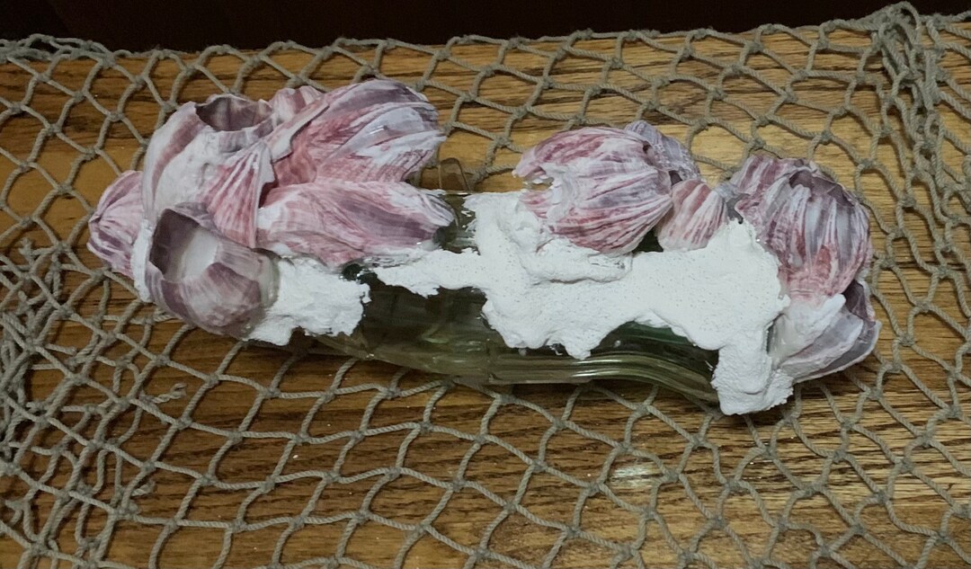 Barnacle Encrusted Bottle see Description - Etsy