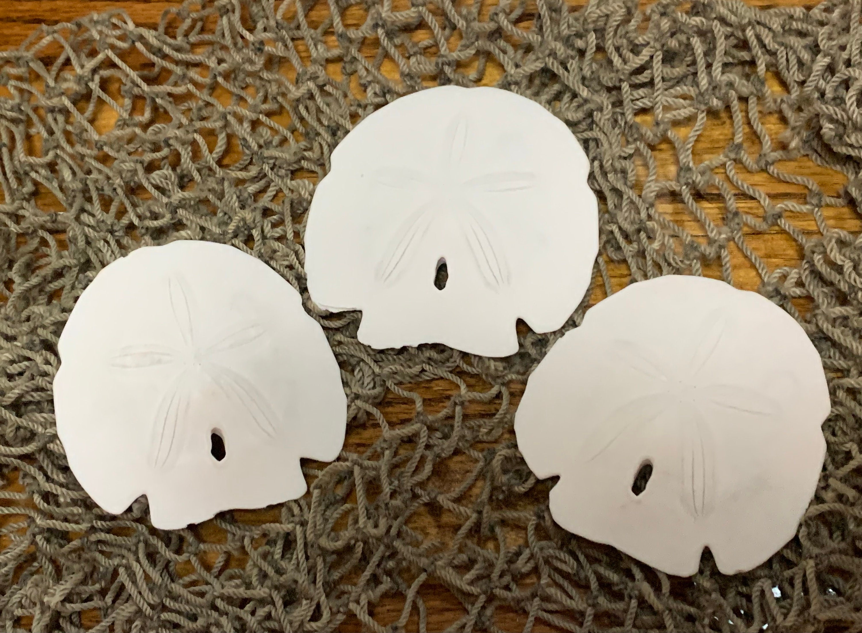 Commissioned Hand Painted Sand Dollar - Etsy