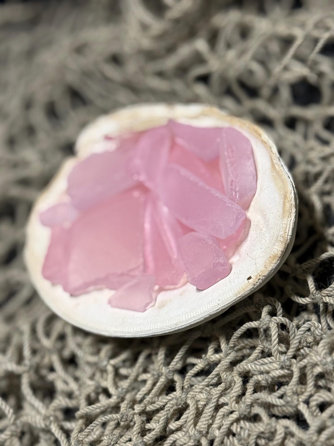 Sea Glass/tumbled Glass & Large Fossilized Clam Shell (20 Pieces Pink ...