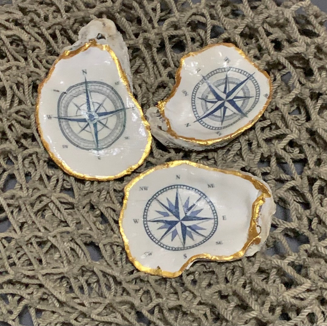 3 Compass Gilded Oyster Shell (set of 3) - Etsy