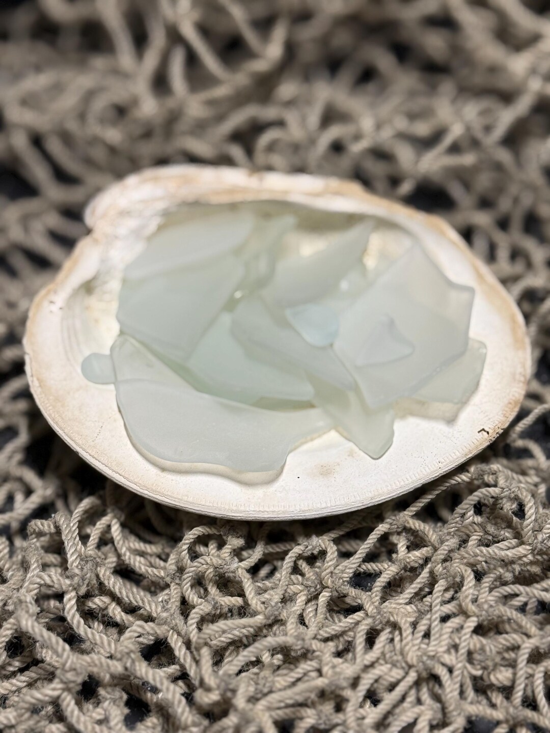 Sea Glass/tumbled Glass & Large Fossilized Clam Shell (20 Pieces White ...