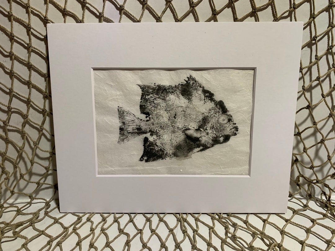 Spade Fish Gyotaku Original Rubbing - Etsy