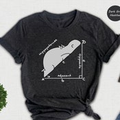 Algebra Basics Bulletin Board Shabby Chic - Etsy Canada