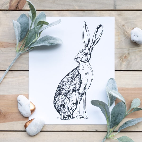 Jack Rabbit - Etsy