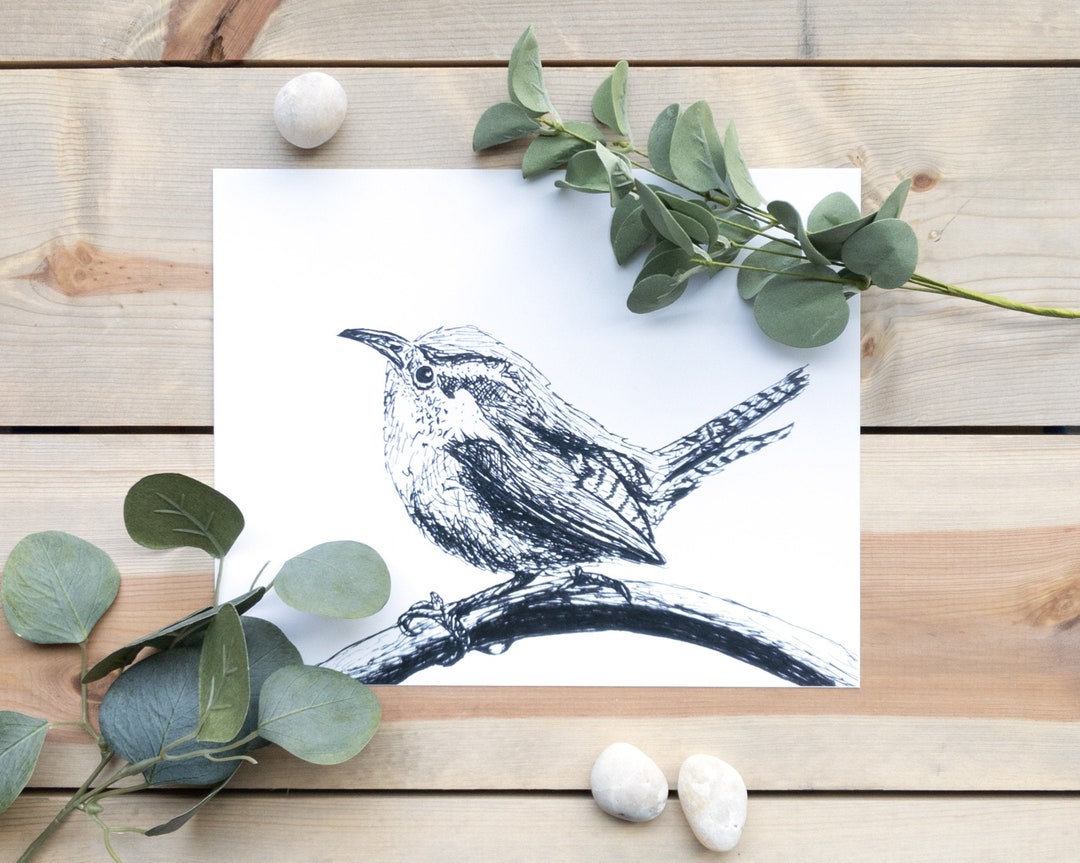 Wren, 8"x10" Pen & Ink Print - Etsy