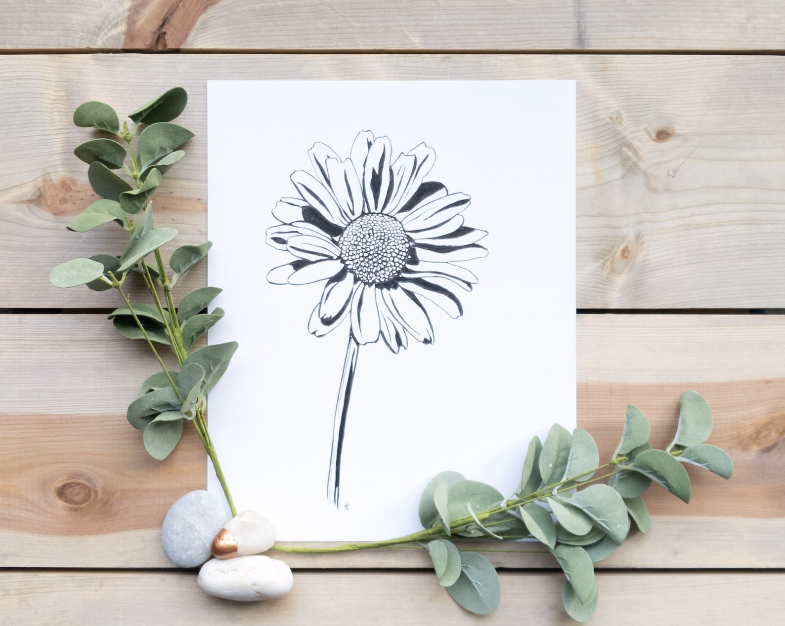 Daisy, 8"x10" Pen & Ink Print - Etsy