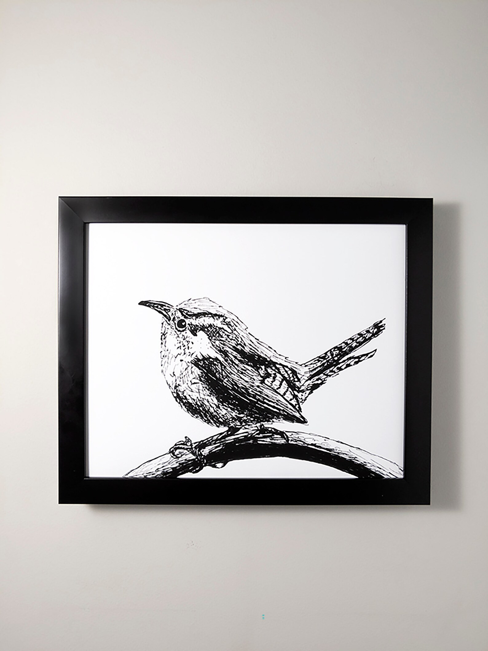 Wren, 8"x10" Pen & Ink Print - Etsy