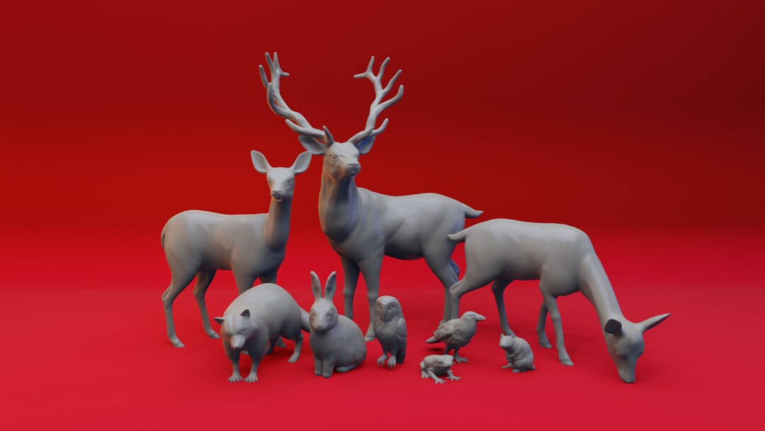 Animal Scatter Pack - Etsy