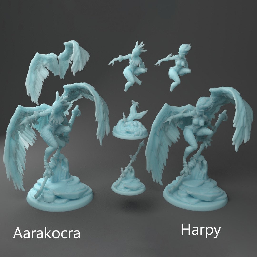 Aarakocra Shaman Harpy Matron Dandd Pathfinder Tabletop Rpg Etsy