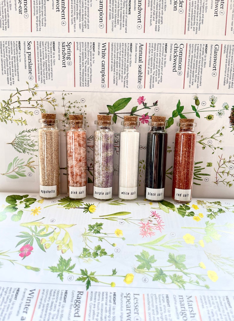 Large Witch Salts Bottles Witchcraft Essentials Black - Etsy