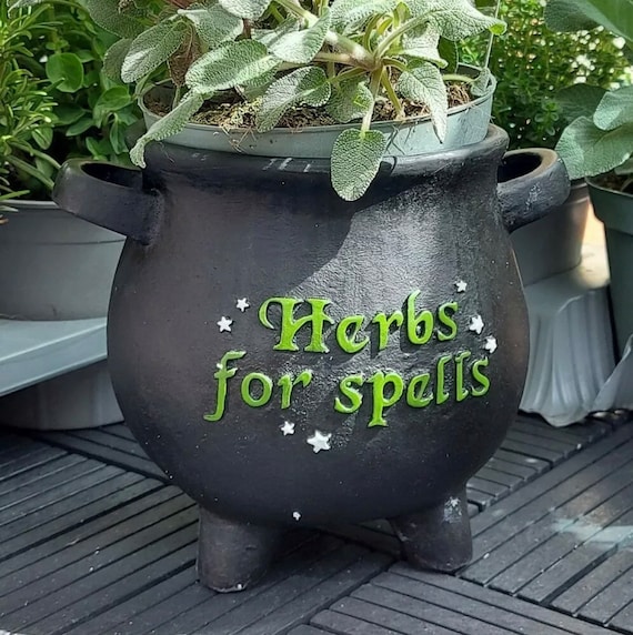Green Witches Plant Pot Herbs for Spells Witches Garden - Etsy UK