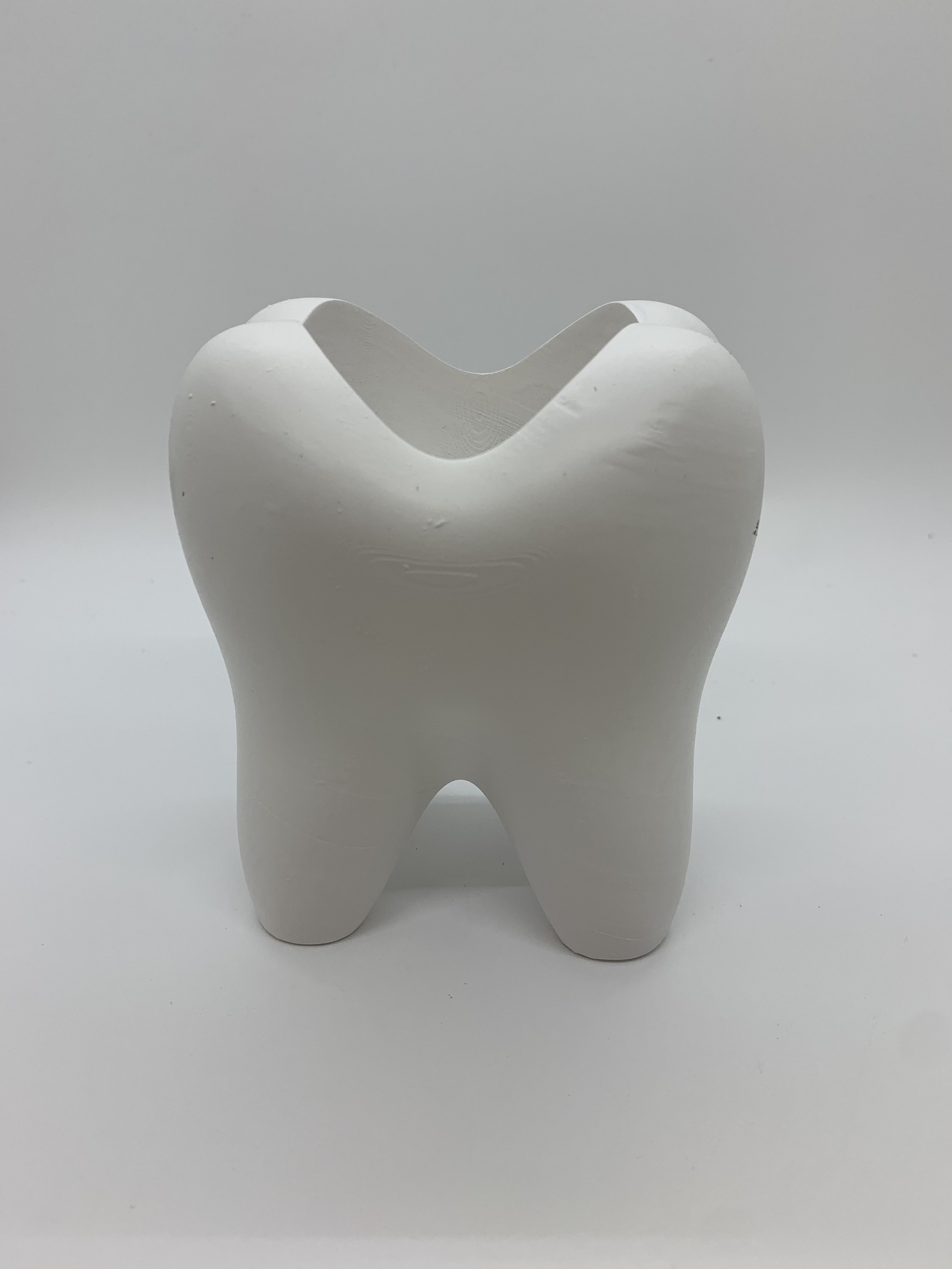 Succulent Pot Mịni Planter Tooth Planter Gift for Dentists - Etsy