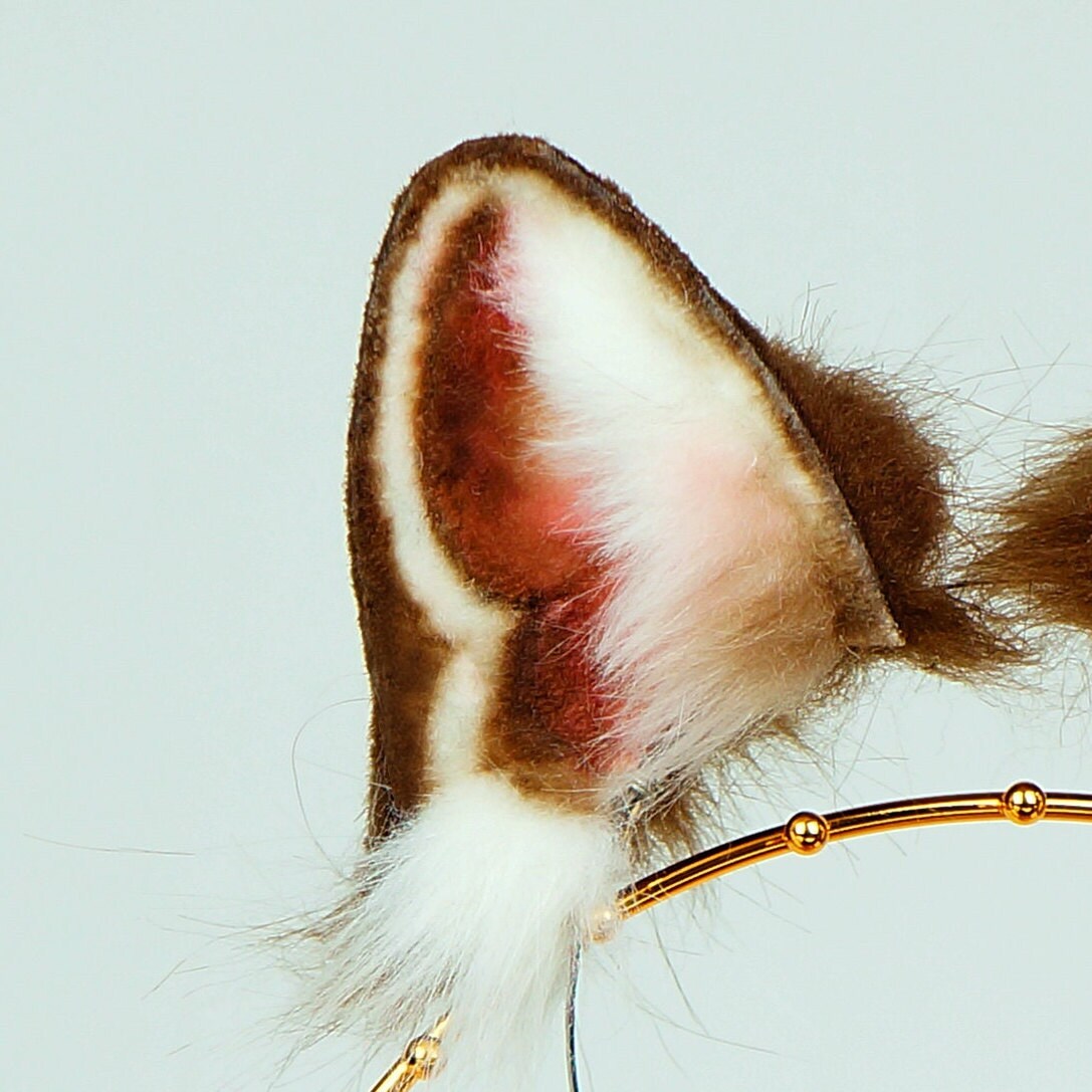 Dark Brown Earstail Set Tail Butt Plug Faux Fur Set Wolf - Etsy