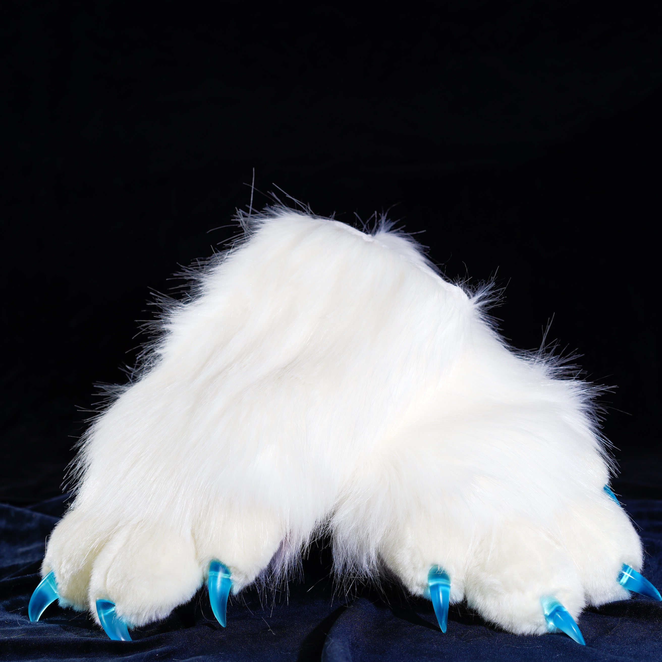 Custom Paws, White Paws With Blue Claws, Punny Paws, Fox Paws, Cat Paws ...