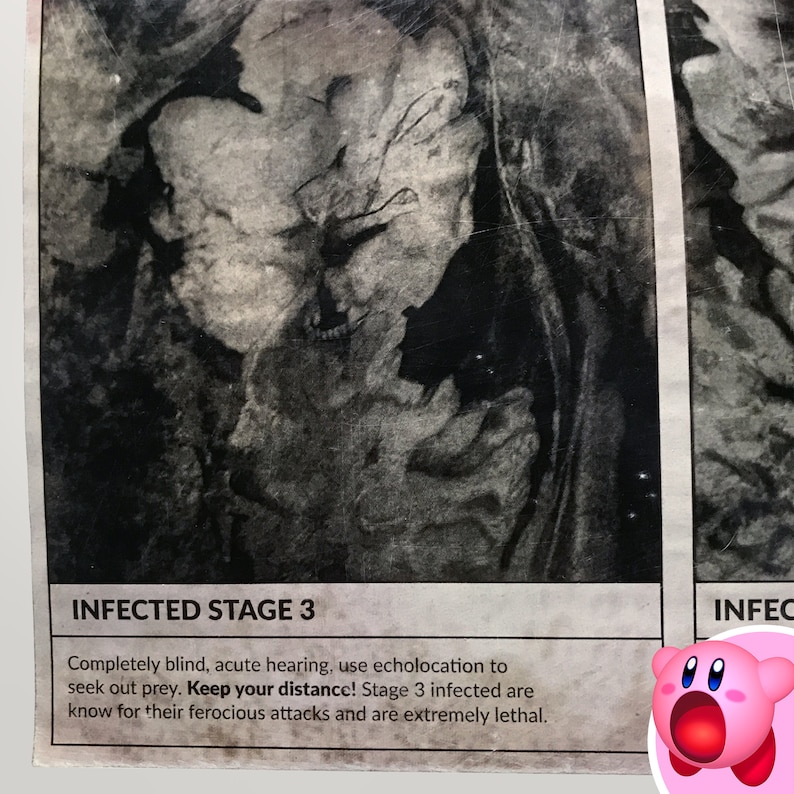 STAGES of INFECTION Cordyceps Flyer, the Last of Us 2, Fanmade - Etsy