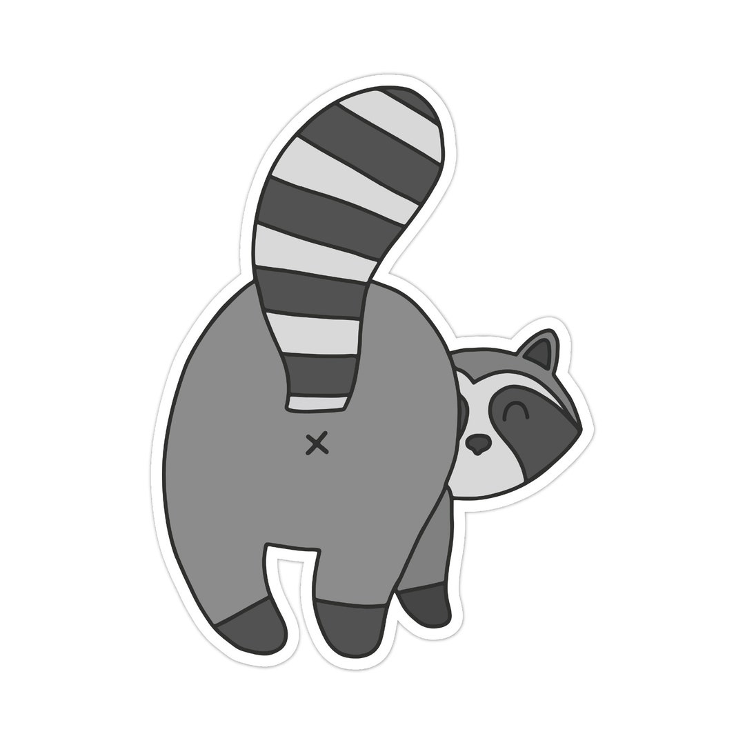 Raccoon Butt Sticker - Etsy