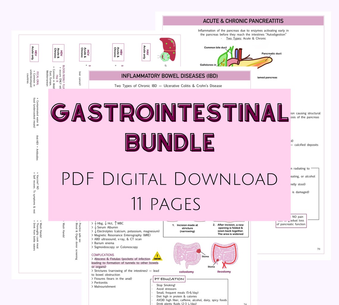 Gastrointestinal Bundle, Med Surg, Medical Surgical, GI Study Guide ...