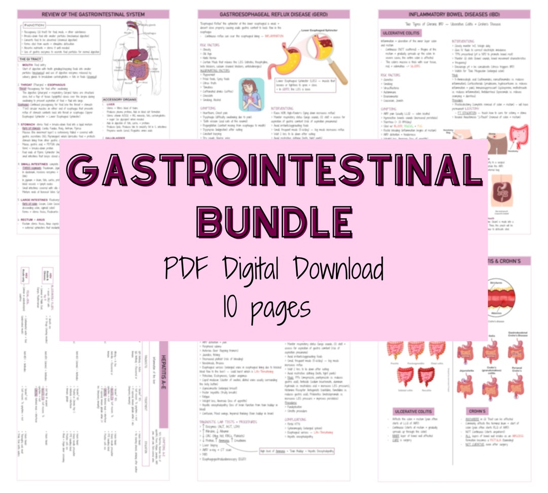 Gastrointestinal Bundle Med Surg Medical Surgical GI Study - Etsy