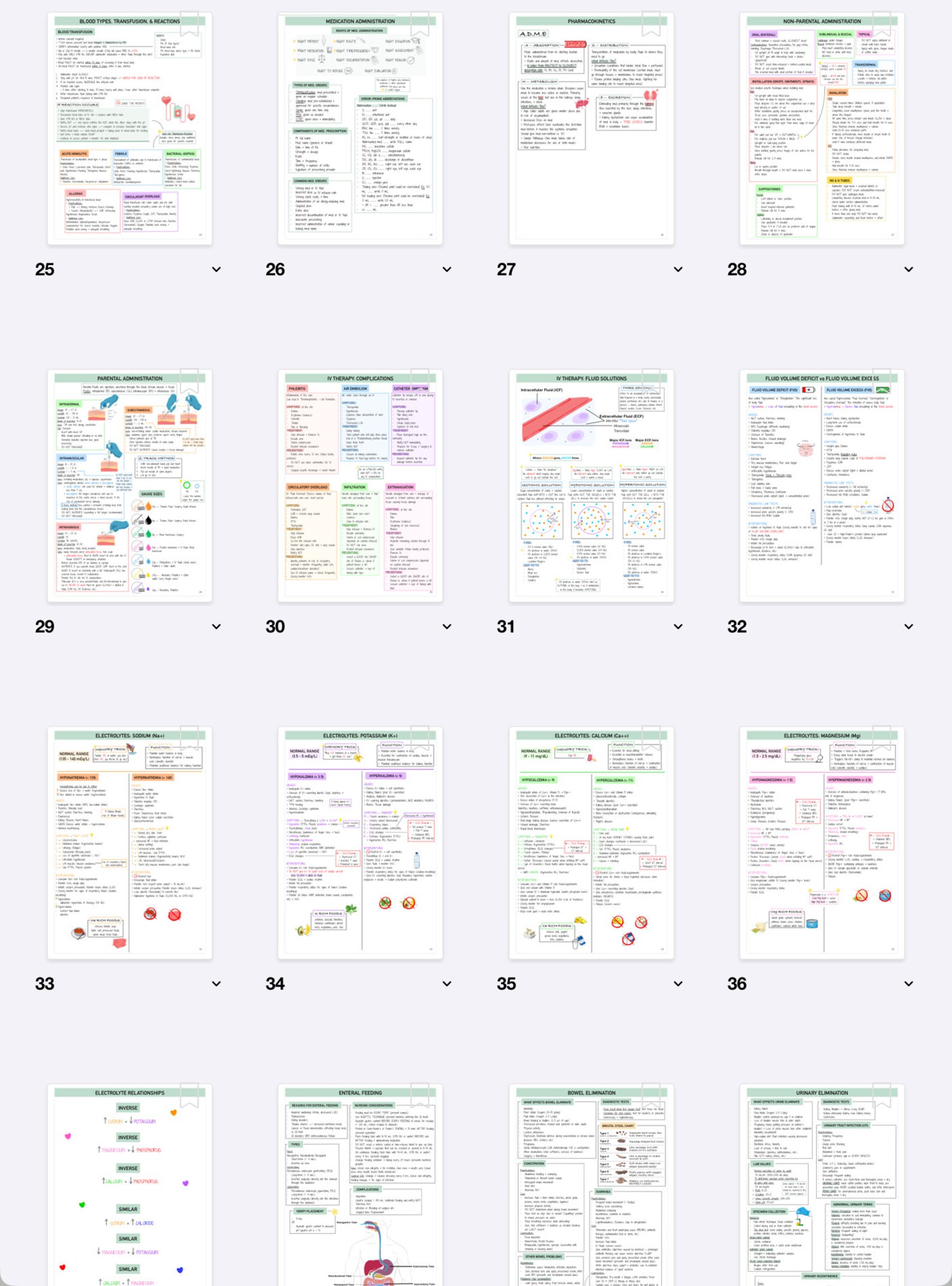 Fundamental of Nursing Fundamental Bundle Notes Nursing - Etsy