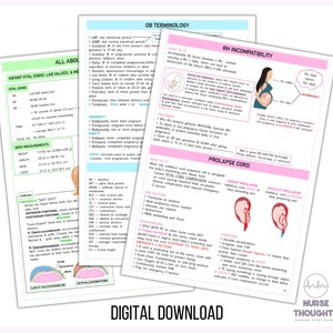 Ob/maternity Nursing Bundle, Nursing Notes, Digital Download, Nursing ...
