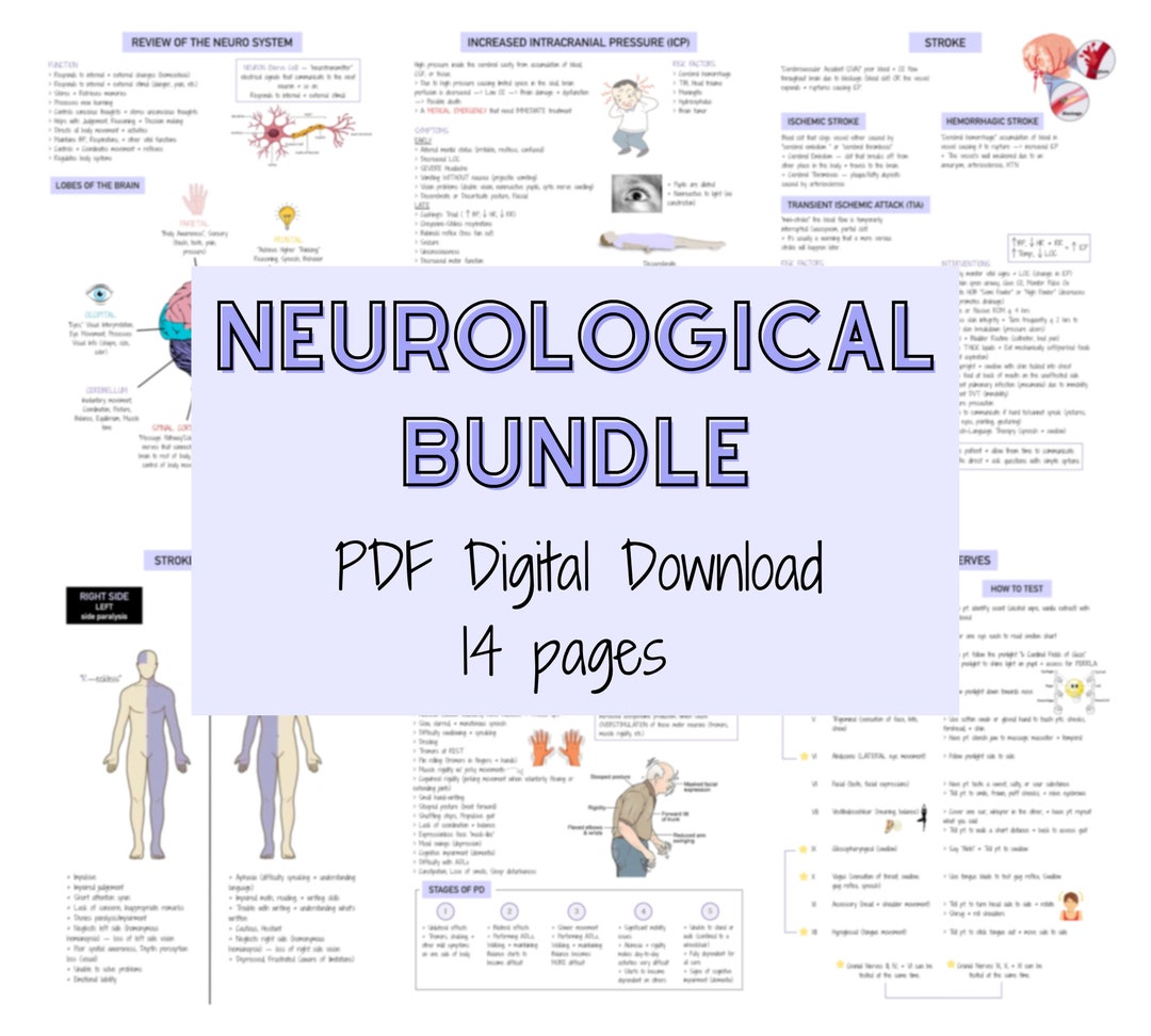 Neurological Bundle Neuro Bundle Notes Med Surg Notes - Etsy