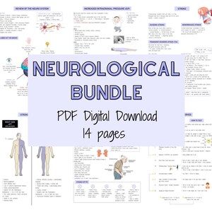 Neurological Bundle Neuro Bundle Notes Med Surg Notes - Etsy