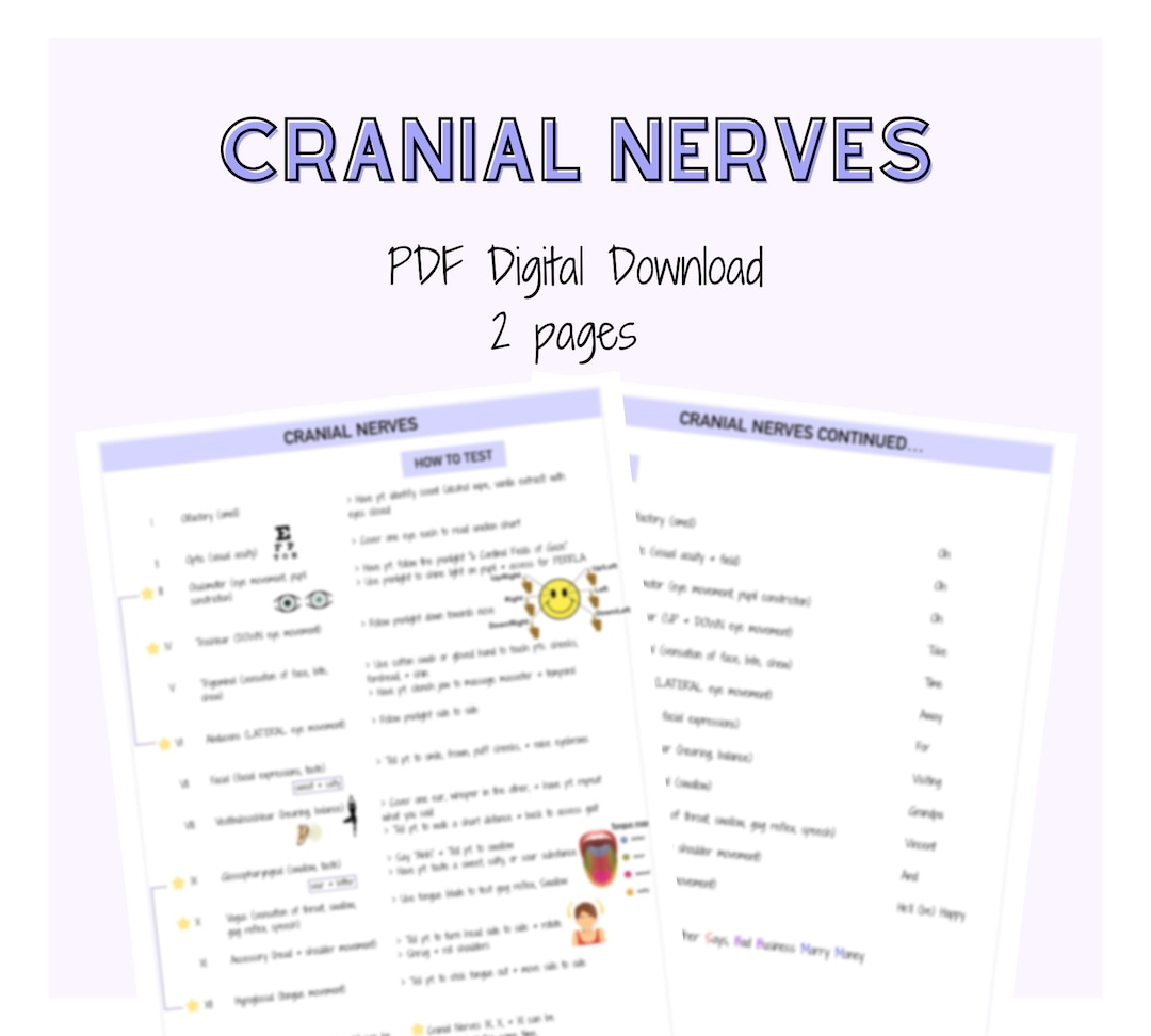 Cranial Nerves, Neurological Nursing Notes, Nursing Study Guide ...
