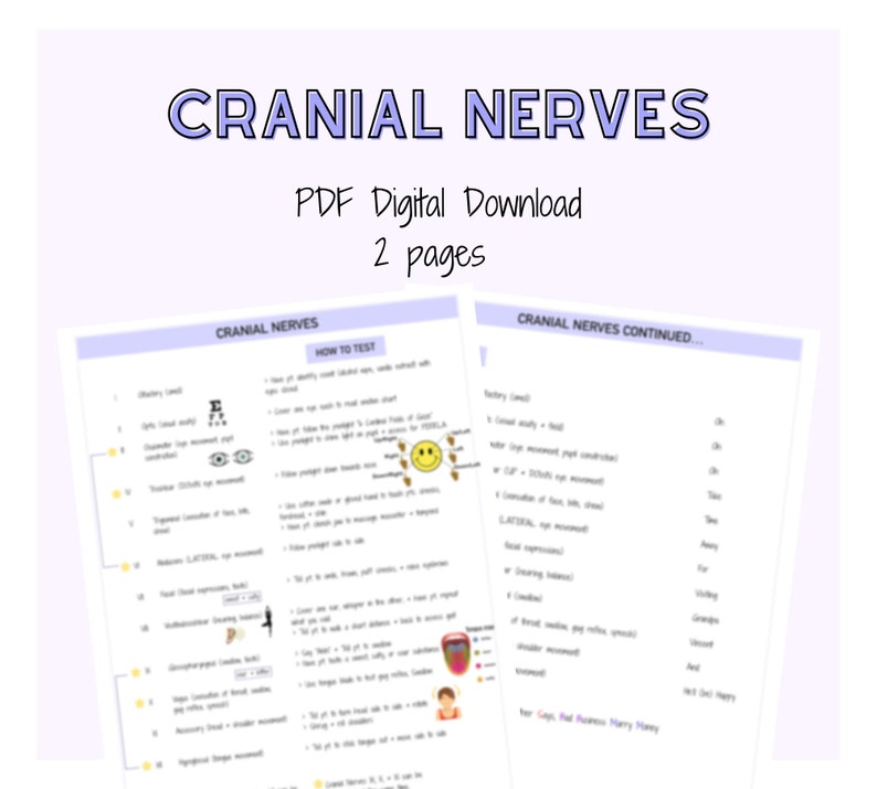 Cranial Nerves, Neurological Nursing Notes, Nursing Study Guide ...