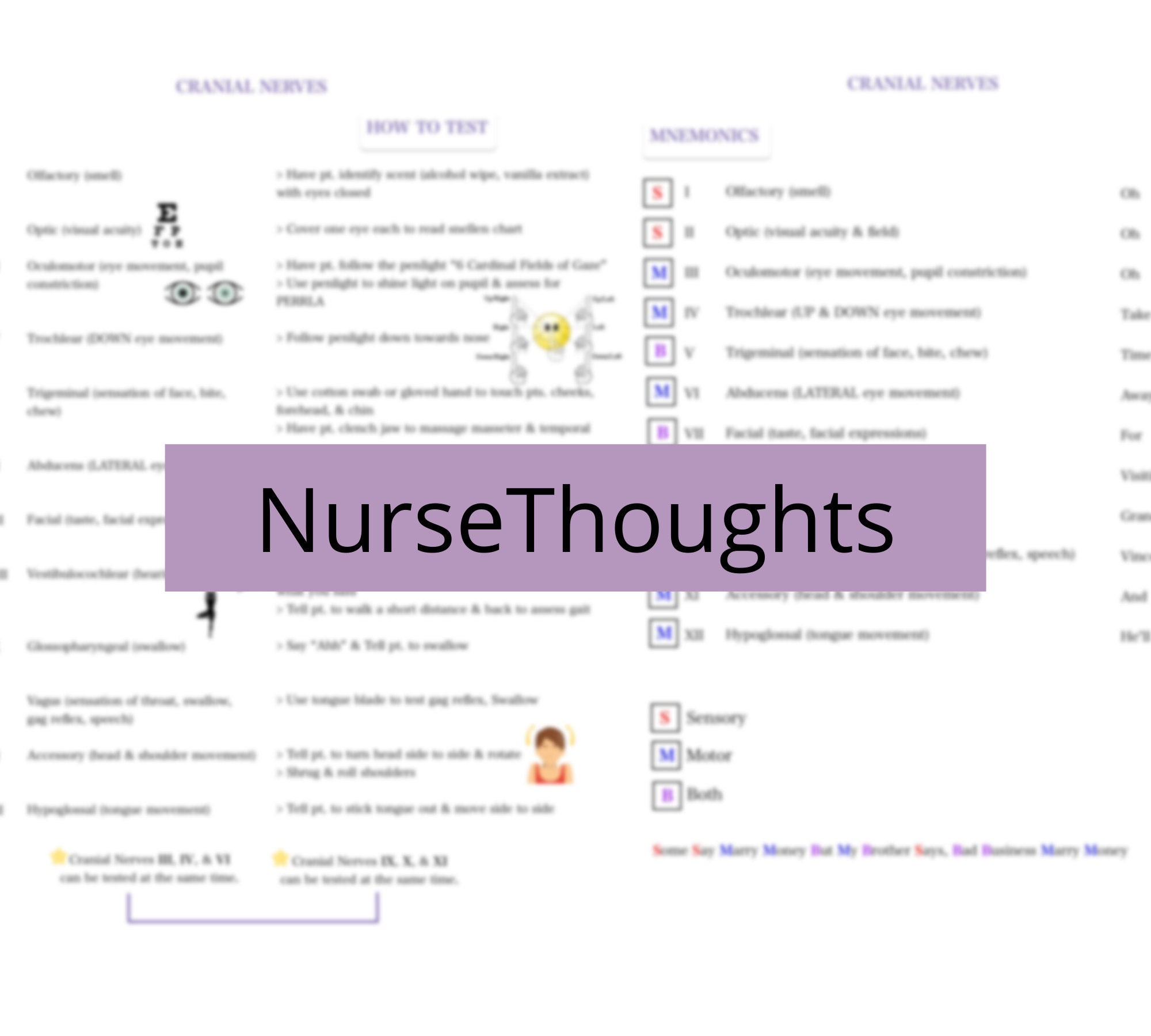 Cranial Nerves Neurological Nursing Notes Nursing Study | Etsy