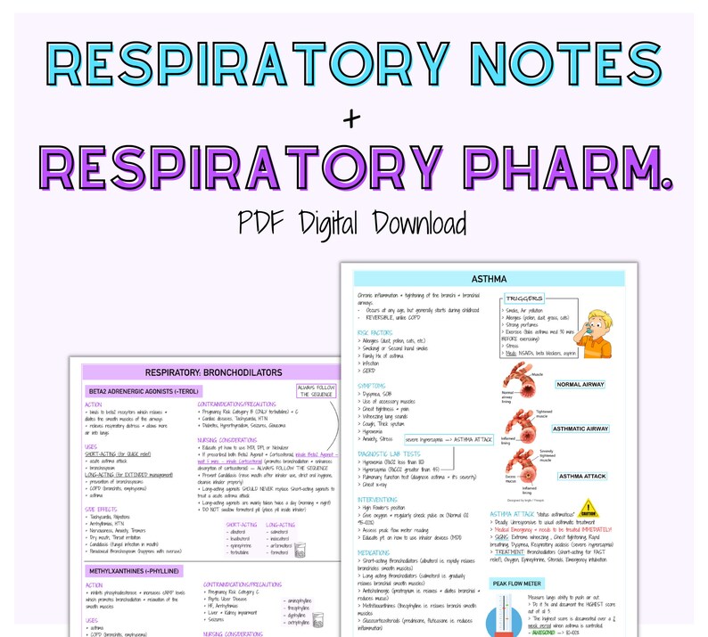 Respiratory Notes Med Surg Bundle Pharmacology Notes - Etsy