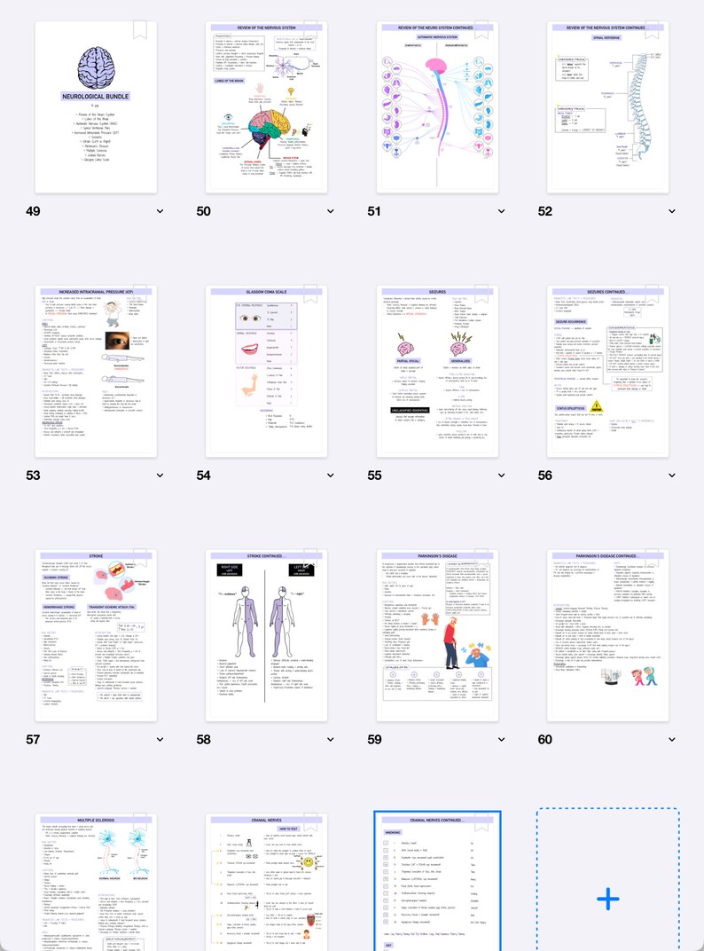Neurological Bundle Neuro Bundle Notes Med Surg Notes - Etsy