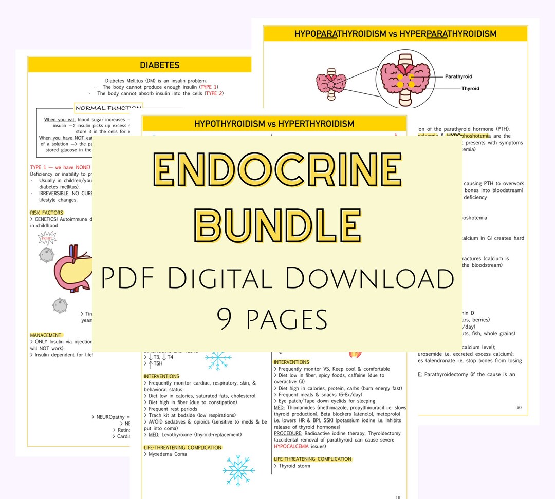 Endocrine System & Diseases, Endocrine Bundle, Nursing Study Guides ...