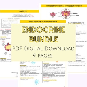 Endocrine System & Diseases, Endocrine Bundle, Nursing Study Guides ...