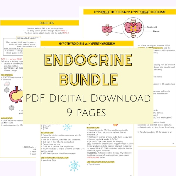 Nursing Endocrine Study - Etsy