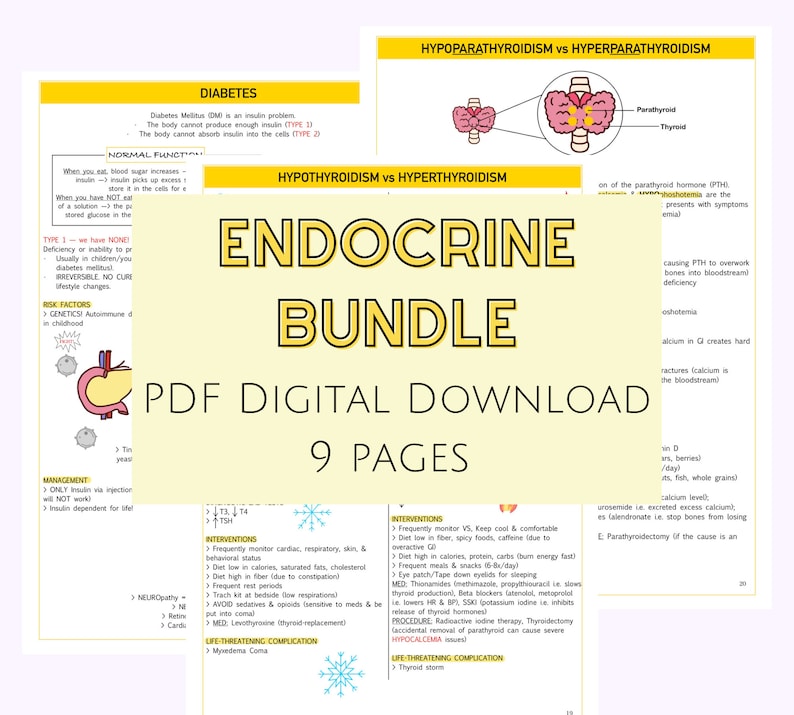 Endocrine System & Diseases, Endocrine Bundle, Nursing Study Guides ...