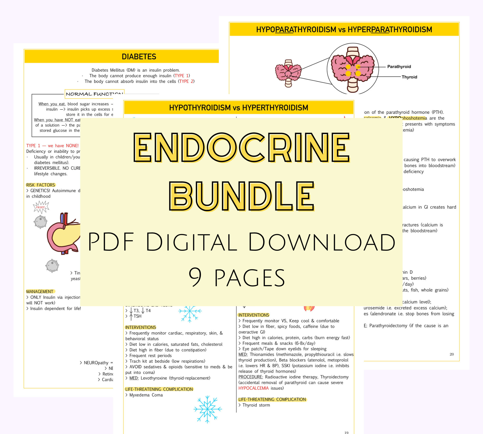 Endocrine System & Diseases, Endocrine Bundle, Nursing Study Guides ...