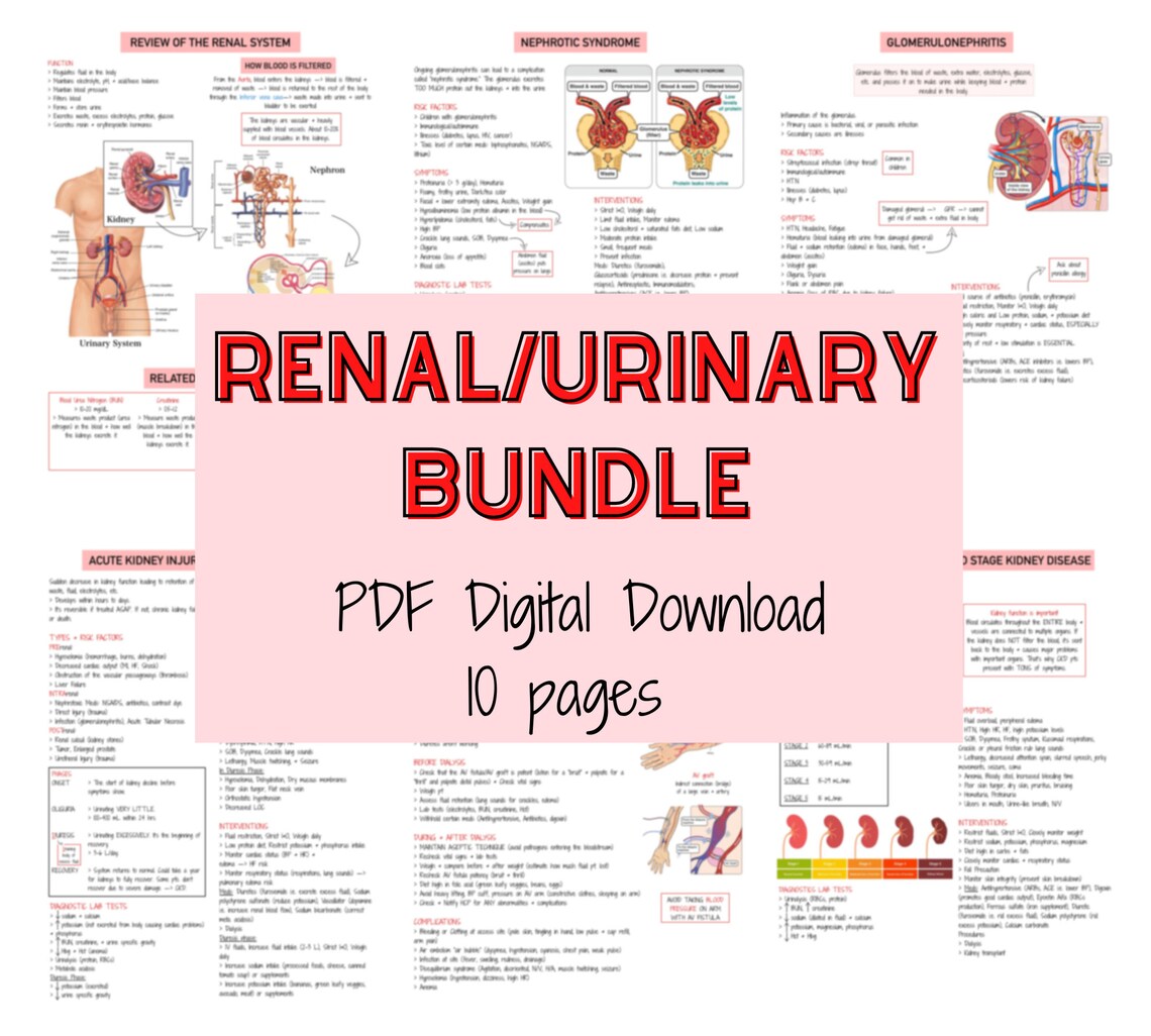 Renal/urinary System & Diseases Nursing Study Guides Nursing - Etsy