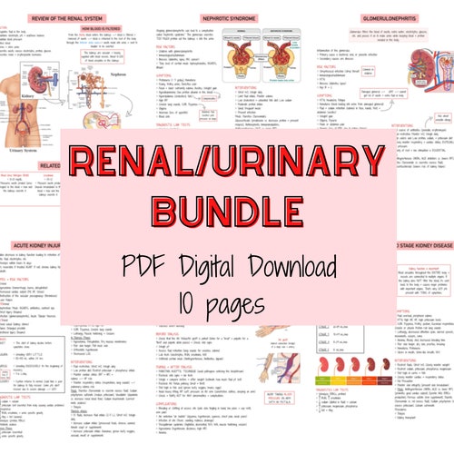 Renal/urinary System & Diseases Nursing Study Guides Nursing - Etsy Canada