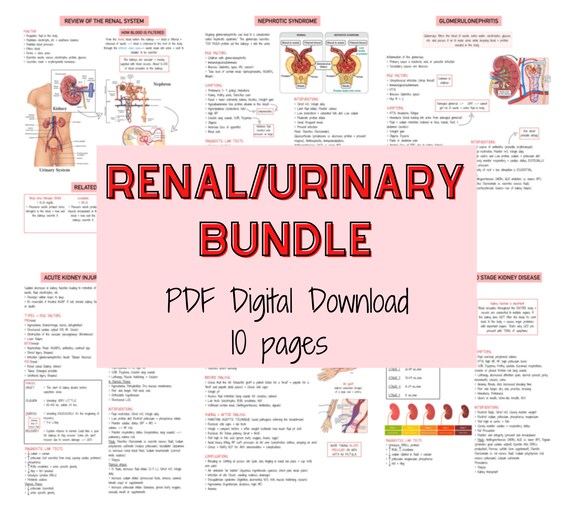 Renal/urinary System & Diseases Nursing Study Guides Nursing - Etsy
