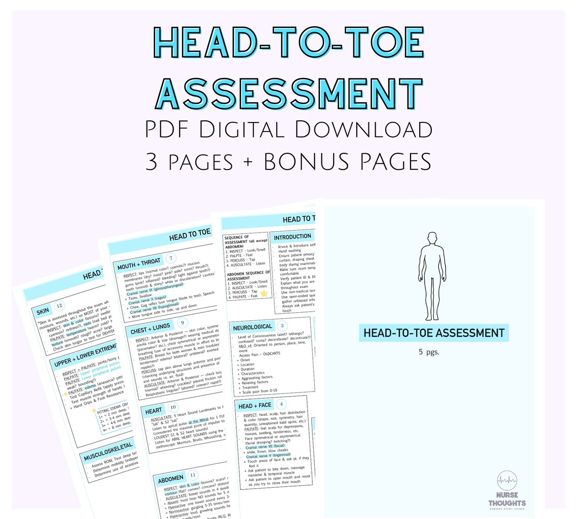 Head to Toe Assessment Guide, Nursing Notes, Clinical Notes, Nursing ...